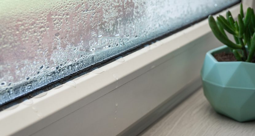 How To Stop Condensation In Windows | Energy Efficiency Guide